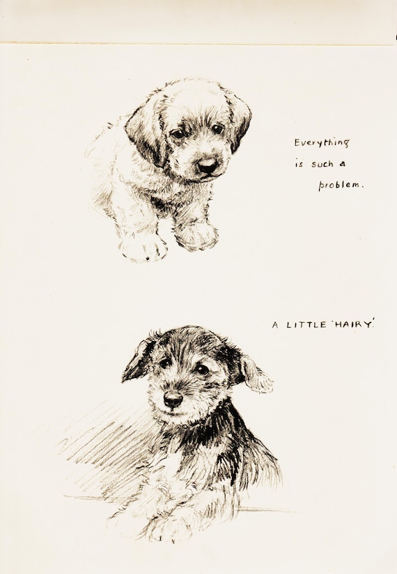 Vintage Dog Drawings