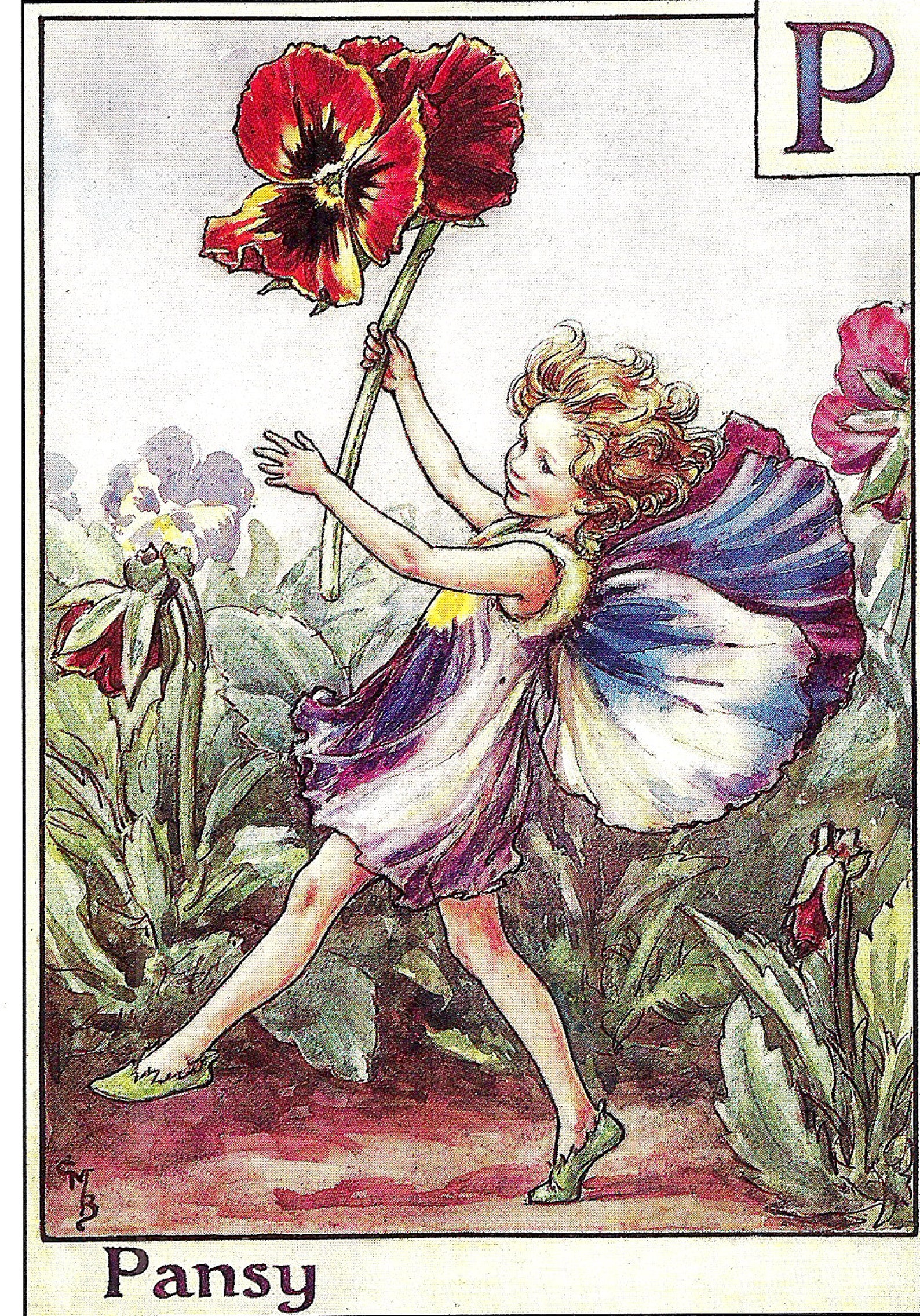 Pansy Fairy Illustration Fairy Artwork of Flower Fairy Print by Cicely ...