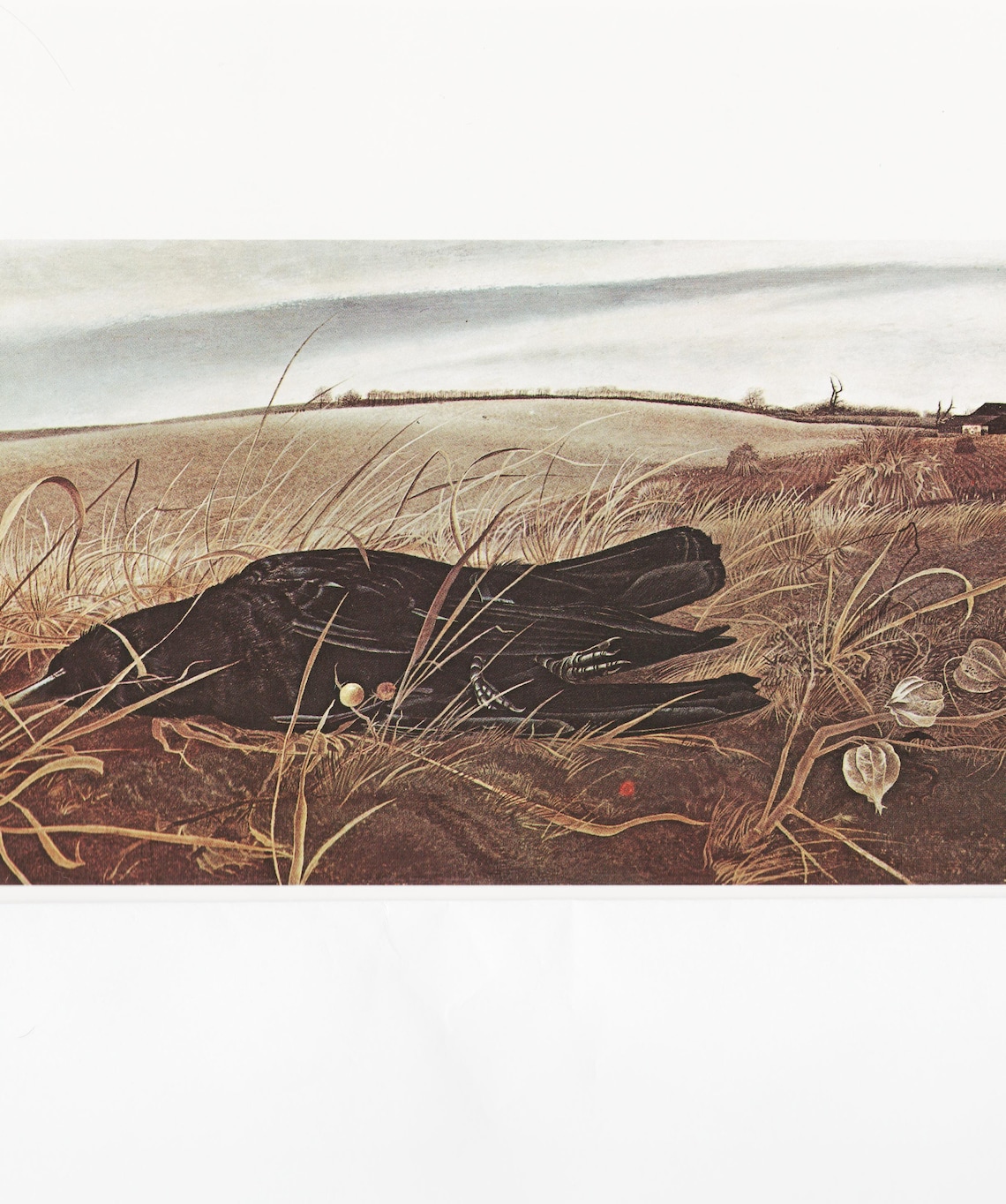 Wyeth Landscape Andrew Wyeth Print Farm Scene winter - Etsy