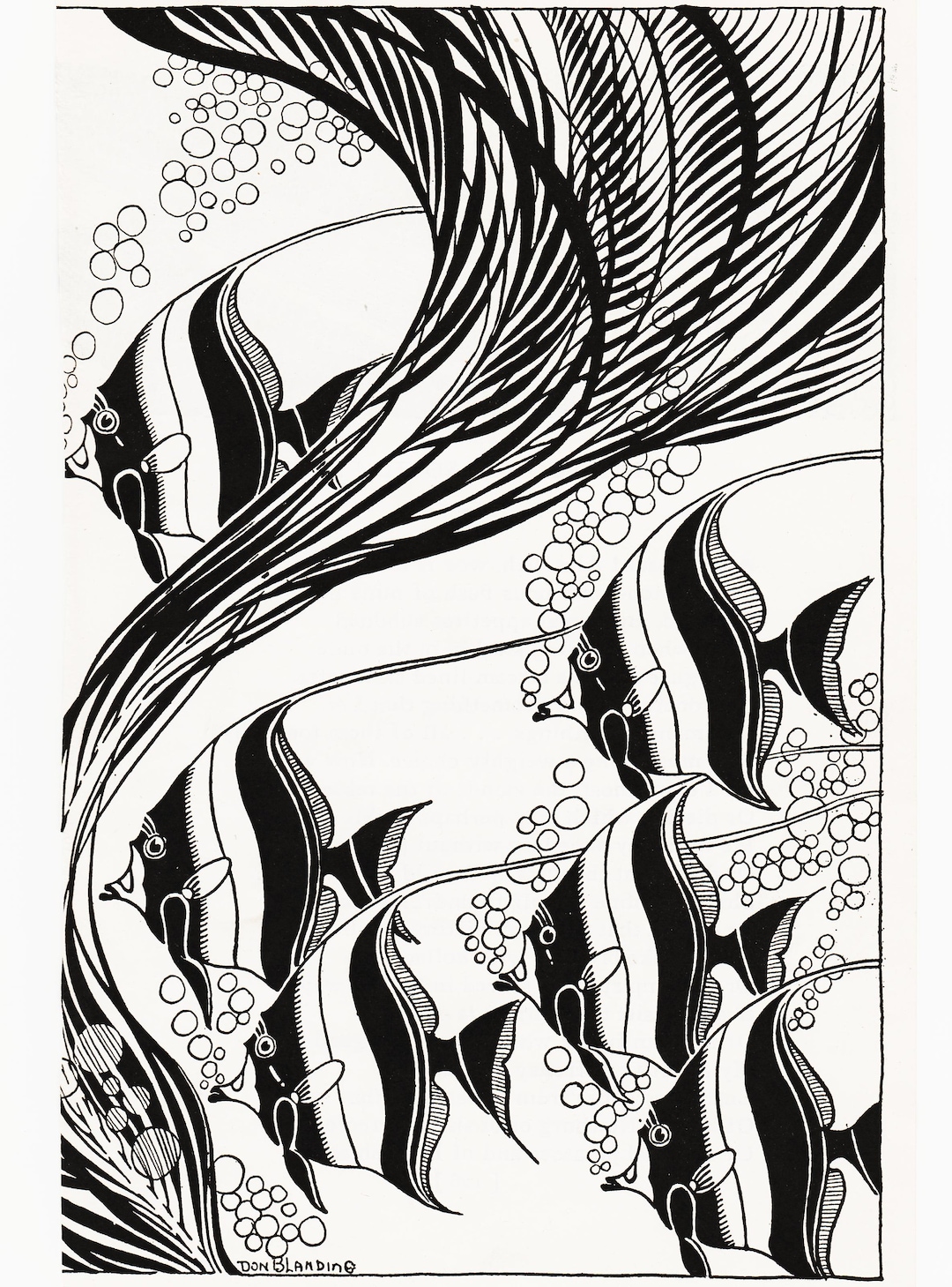 Exotic Fish Art Hawaiian Artwork Tropical Print "kihi-kihi Fish" by Don ...