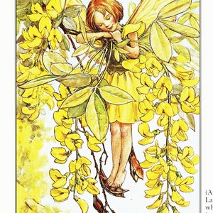 Flower Fairy Print Vintage Fairy Art for Nursery Wall Print "laburnum ...