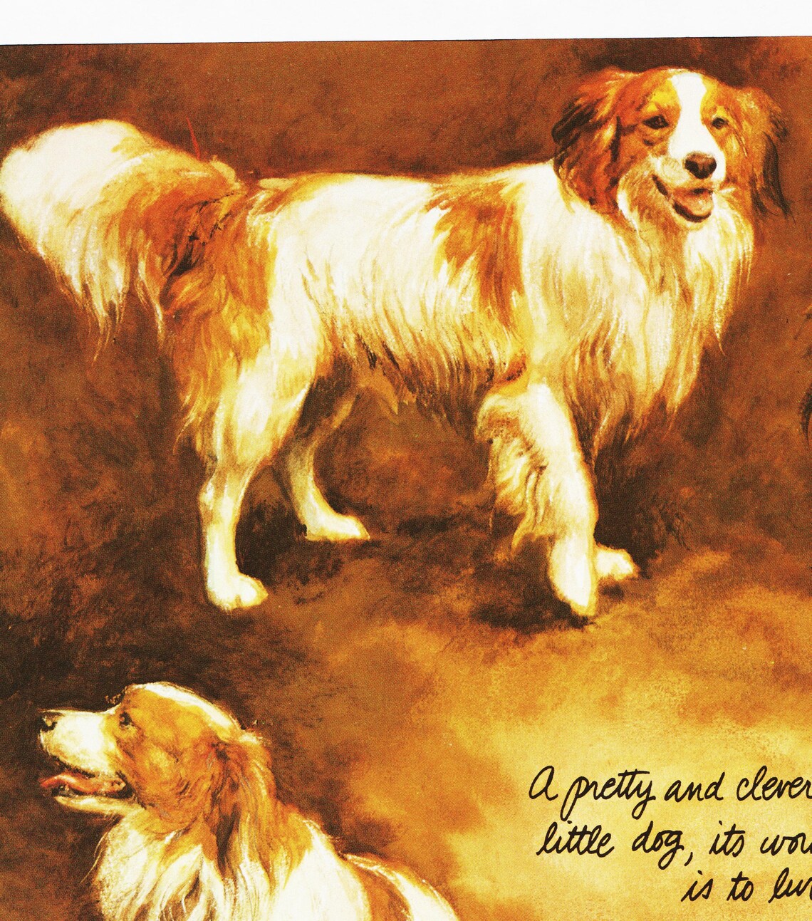 Dog Art Print Vintage Dog Wall Art for Canine Wall Decor "dutch Decoy ...