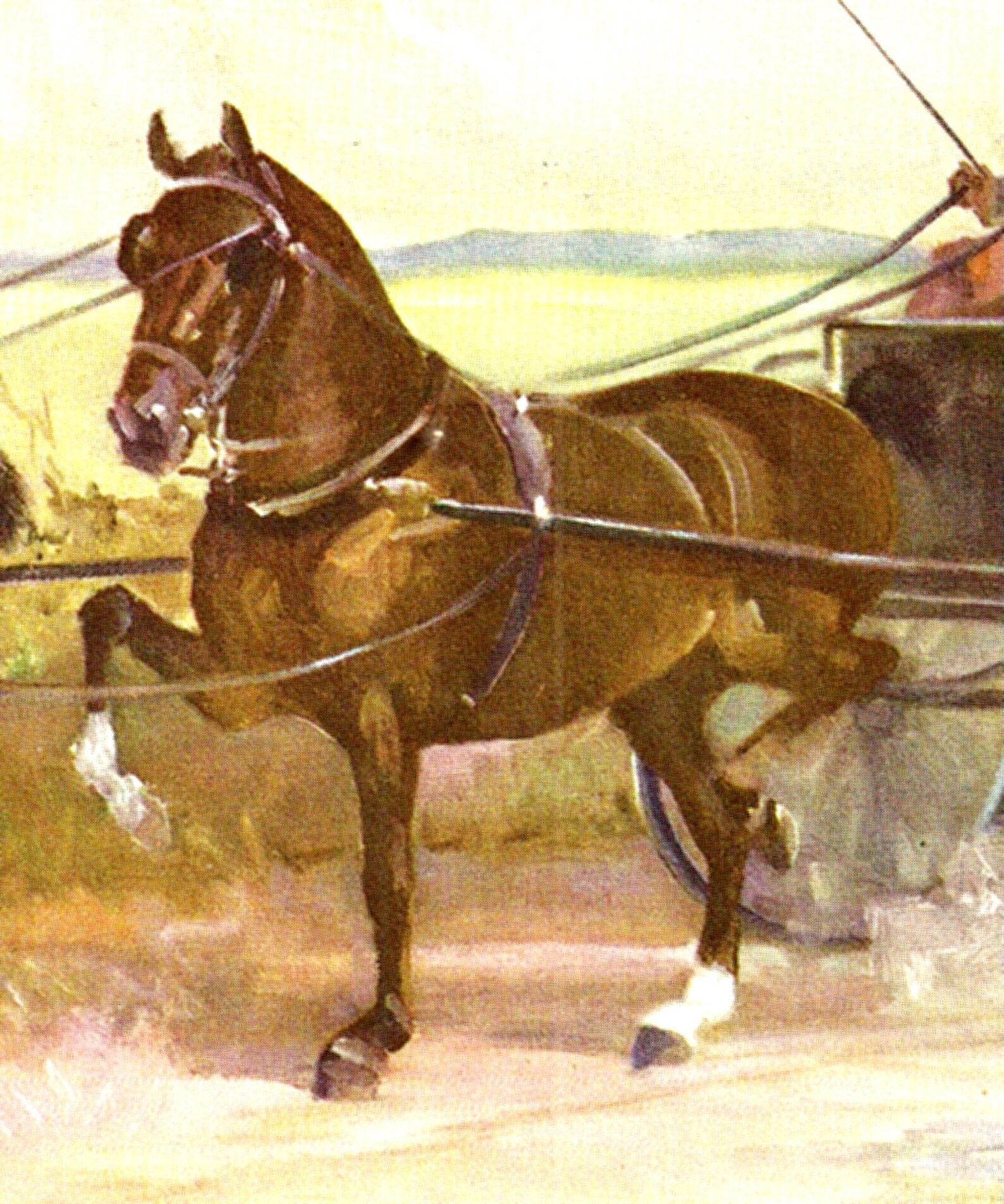 Vintage Horse Art Equestrian Decor Nursery Print hackney - Etsy