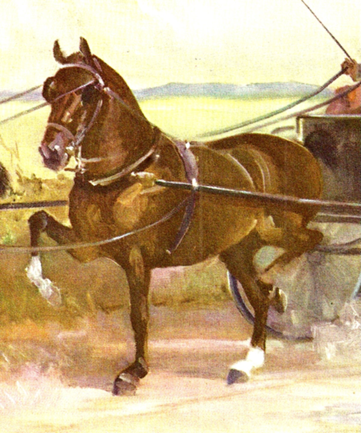 Vintage Horse Art Equestrian Decor Nursery Print hackney - Etsy