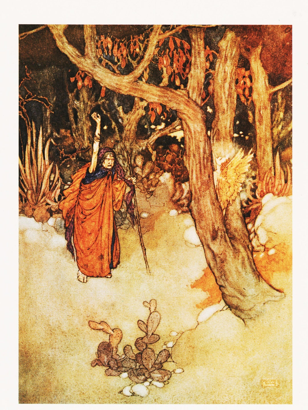 Edmund Dulac Wall Art Fantasy Art Print of Dulac Artwork cloven Pine ...
