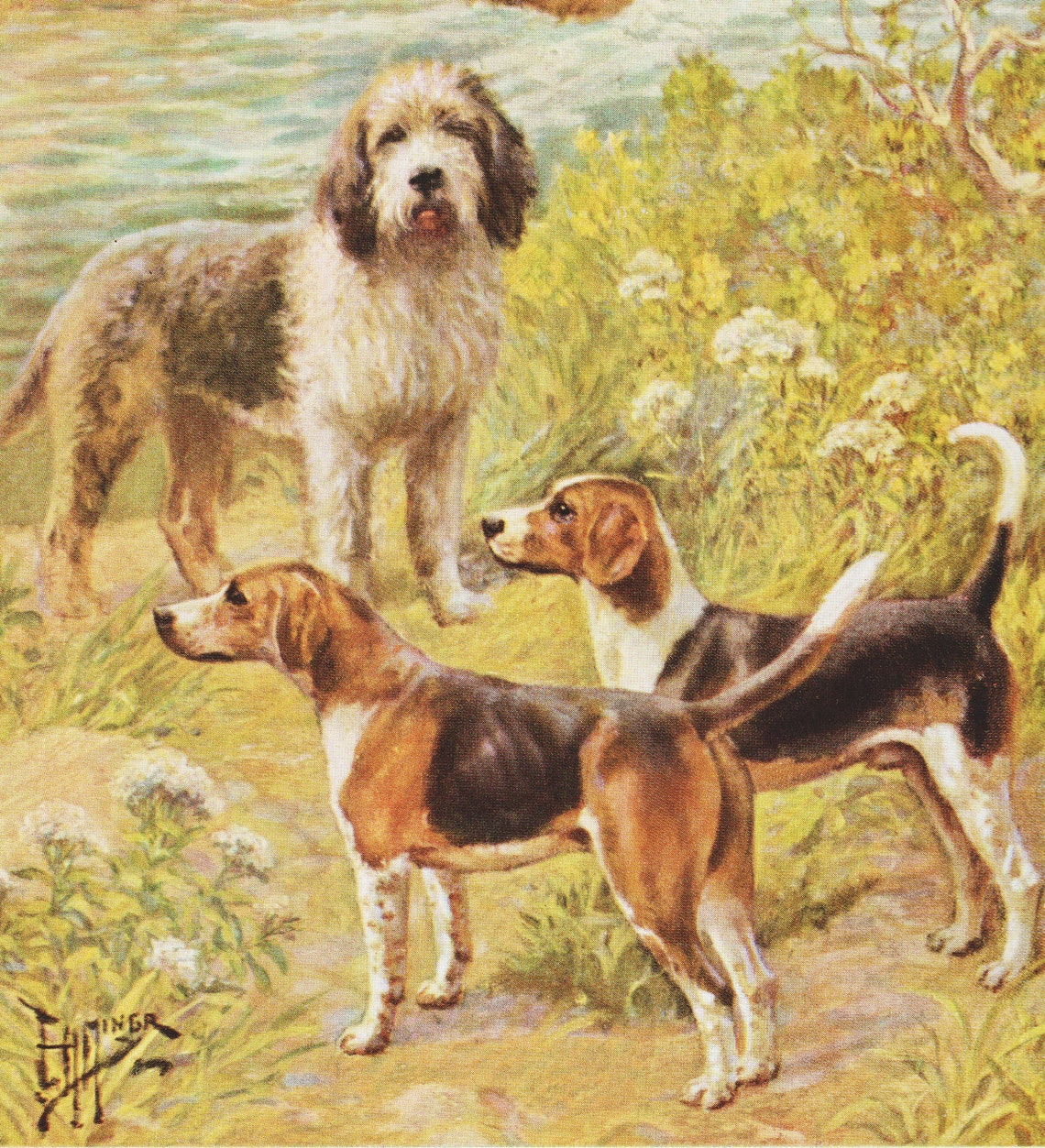 Dog Illustration Dog Art Print for Dog Mom Gift "otterhound" by Edward ...