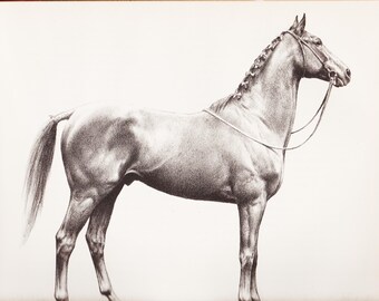 Race Horse Portrait Vintage Horse Art Equestrian Artwork | Etsy