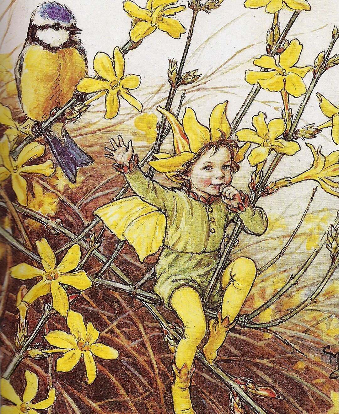 Fairy Illustration Flower Fairy Print for Vintage Fairy Art "winter ...