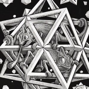 Escher Perspective MC Escher Print Fantasy Illustration "stars" Reptile ...