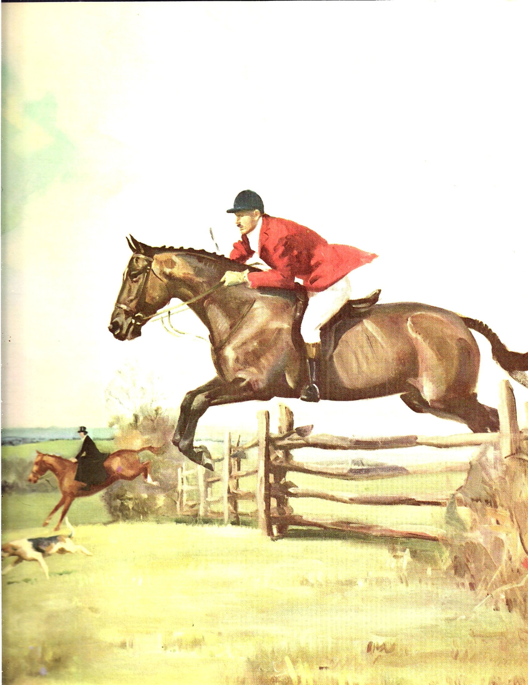 Vintage Horse Art Equestrian Decor Horse Nursery Print "thoroughbred ...