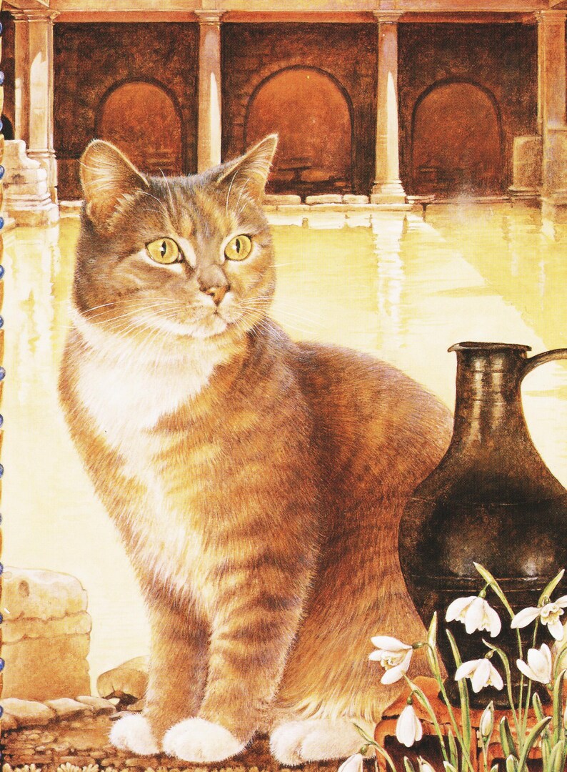 Cat Illustration Cat Astrology Art Vintage Zodiac Print "aquarius ...