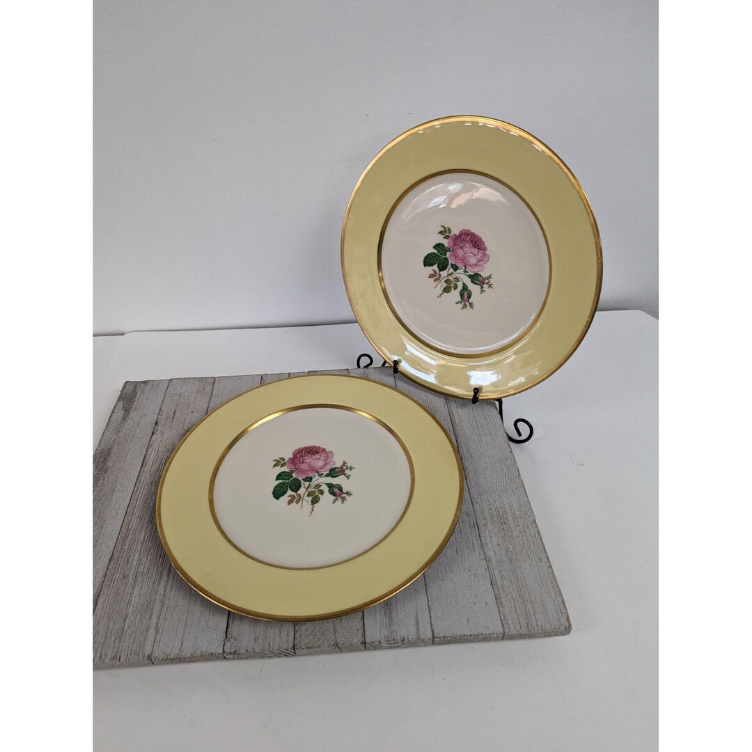 FL11 Yellow Dinner Plates Set of 2 California Gold Flintridge Sylvan ...