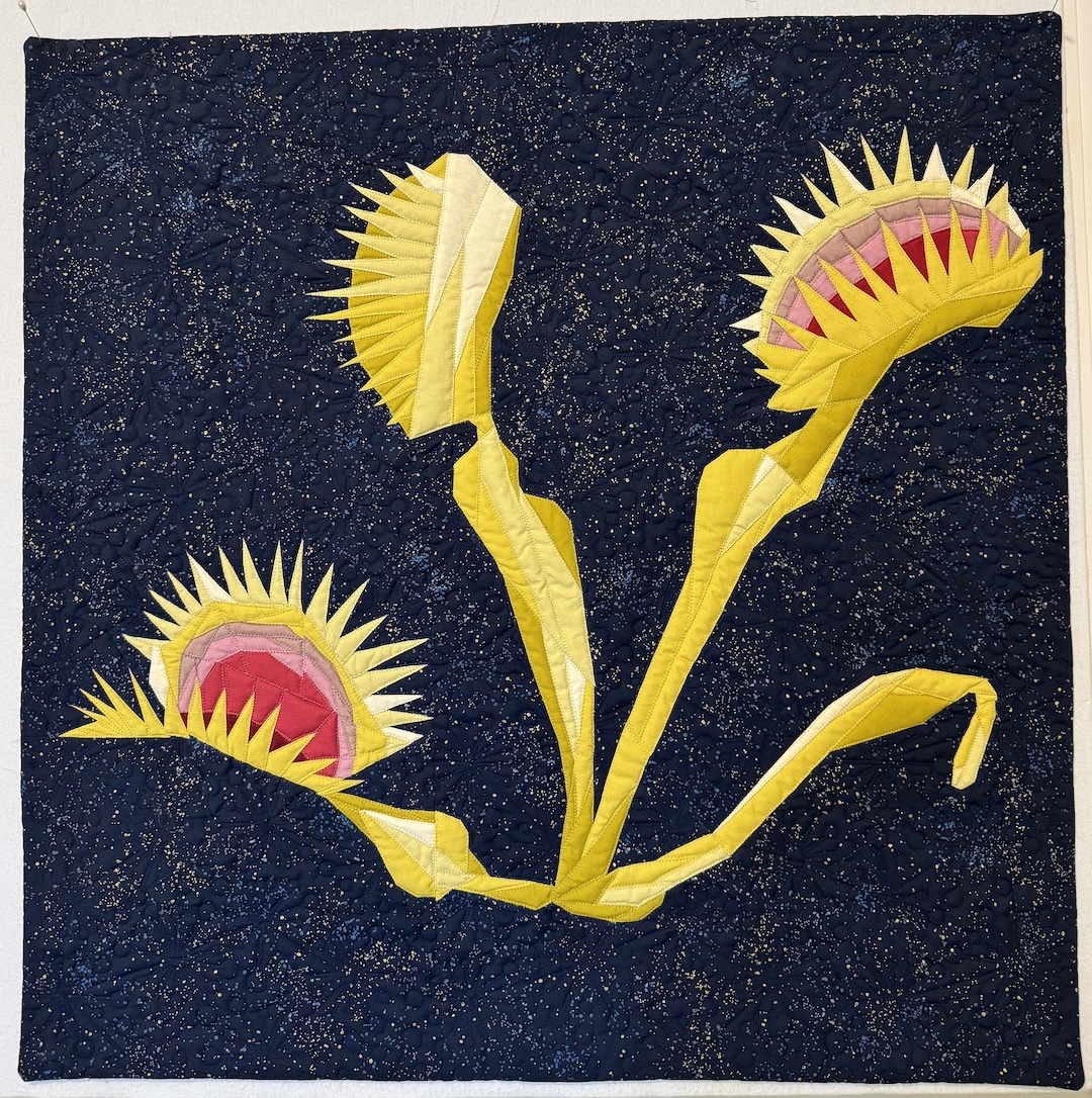 Quiltcon 2024 - Venus Fly Trap - FPP Pattern, Foundation Paper Piecing ...