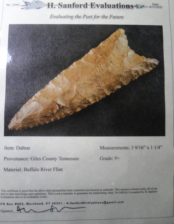 Authentic Dalton Indian Arrowhead Spear Point Artifact Paleo