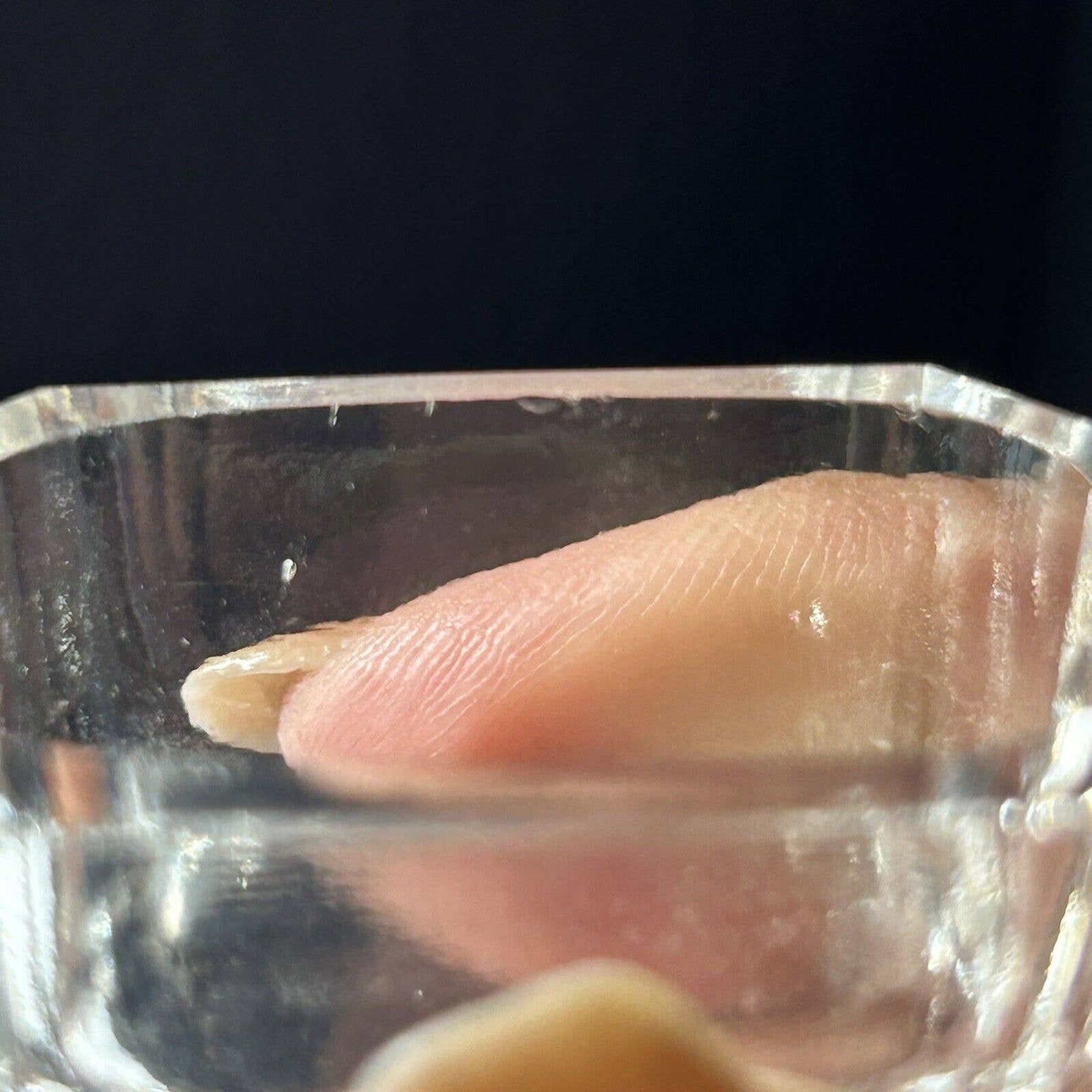 Antique 1880 Central Glass Beveled Rectangular Salt Cellars HJ Reprint ...