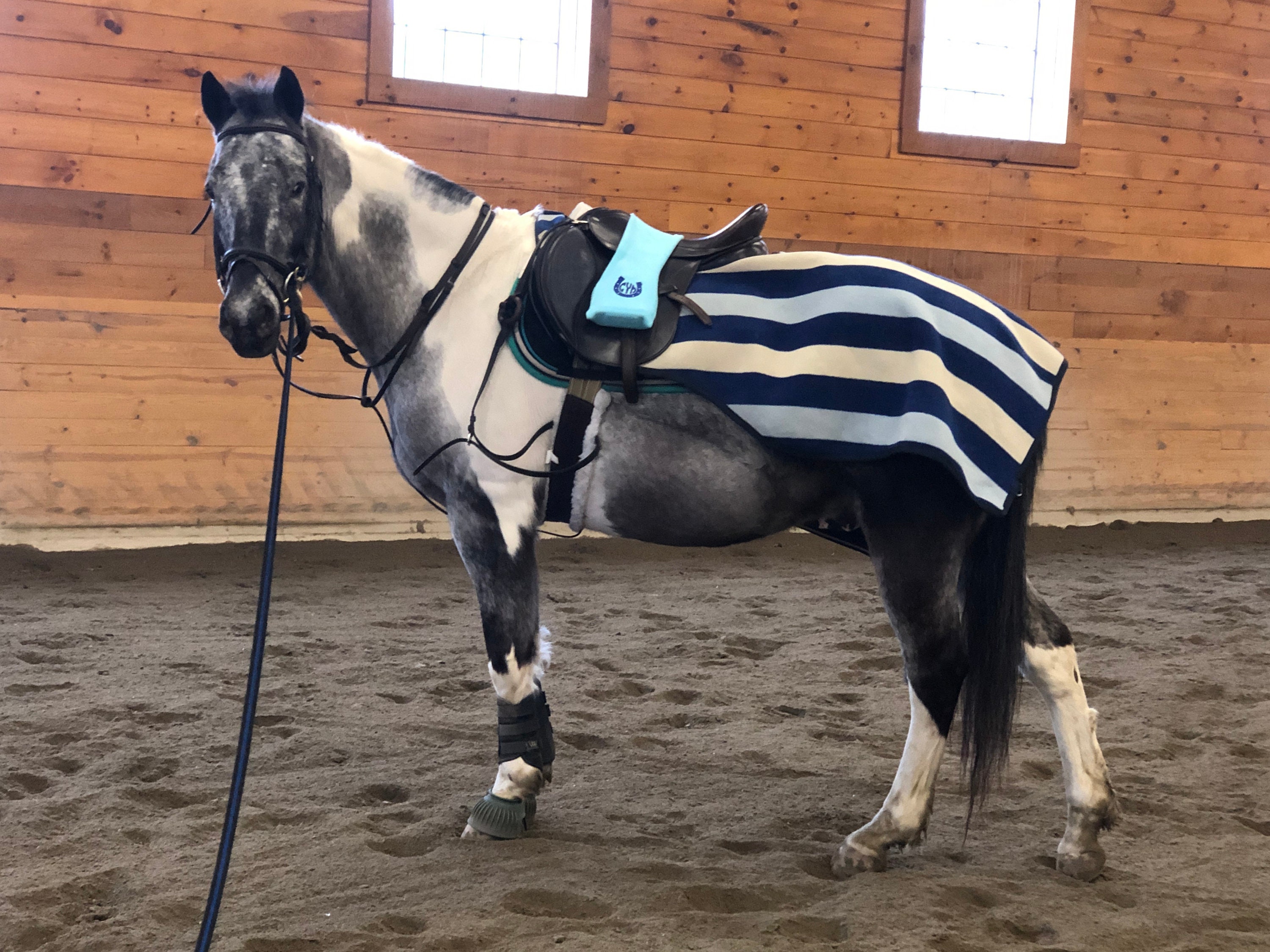 Custom Equestrian Over-pommel Stirrup Covers - Etsy