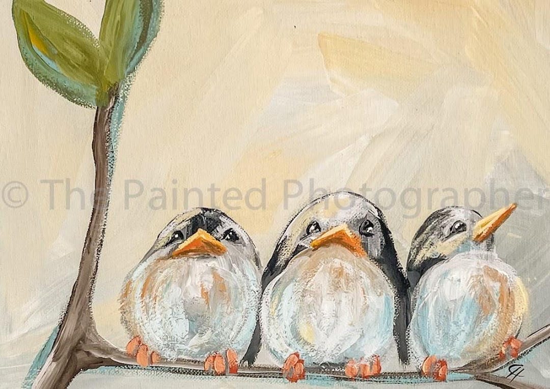 3 Baby Bird – Connie Lines and Designs Rice Paper - Etsy