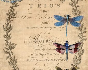 Roycycled Decoupage Paper Musical Dragon Flies20 X 29 Sheet - Etsy