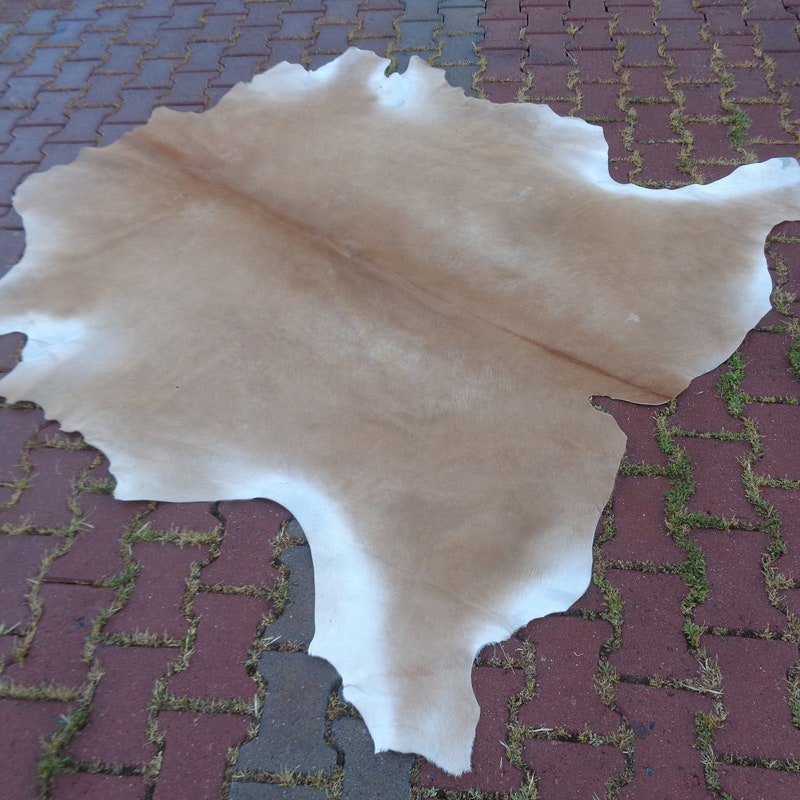 White Cowhide Rug - Etsy