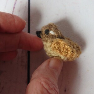 Tiny Crochet Wren Pattern Little Wren Friend PDF Crochet - Etsy
