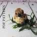 Tiny Crochet Wren Pattern Little Wren Friend PDF Crochet - Etsy