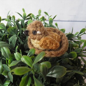 Tiny Crochet Wren Pattern Little Wren Friend PDF Crochet - Etsy