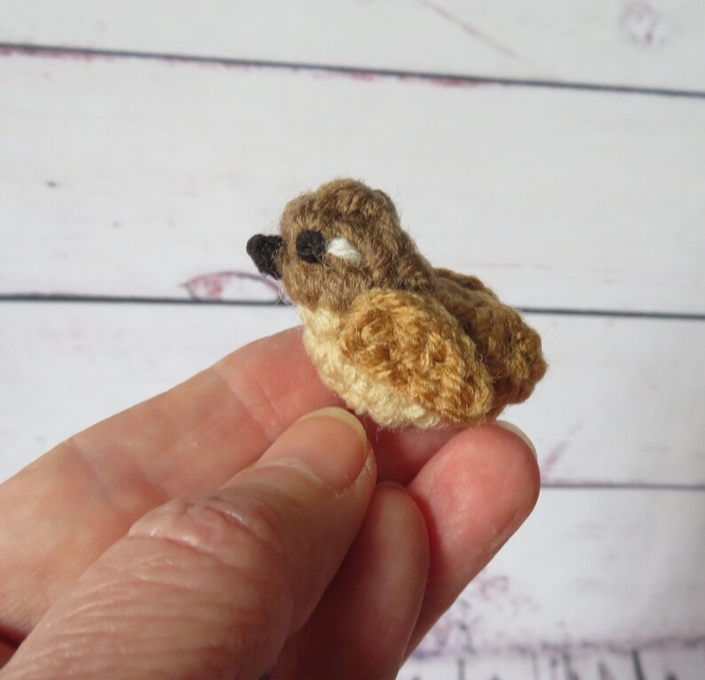 Tiny Crochet Wren Pattern Little Wren Friend PDF Crochet - Etsy