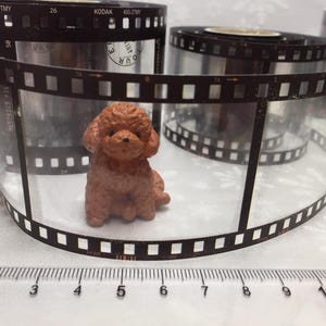 Wide Movie Film Strip Sticker Tape 2M Photo Film Strip Filmstrip ...