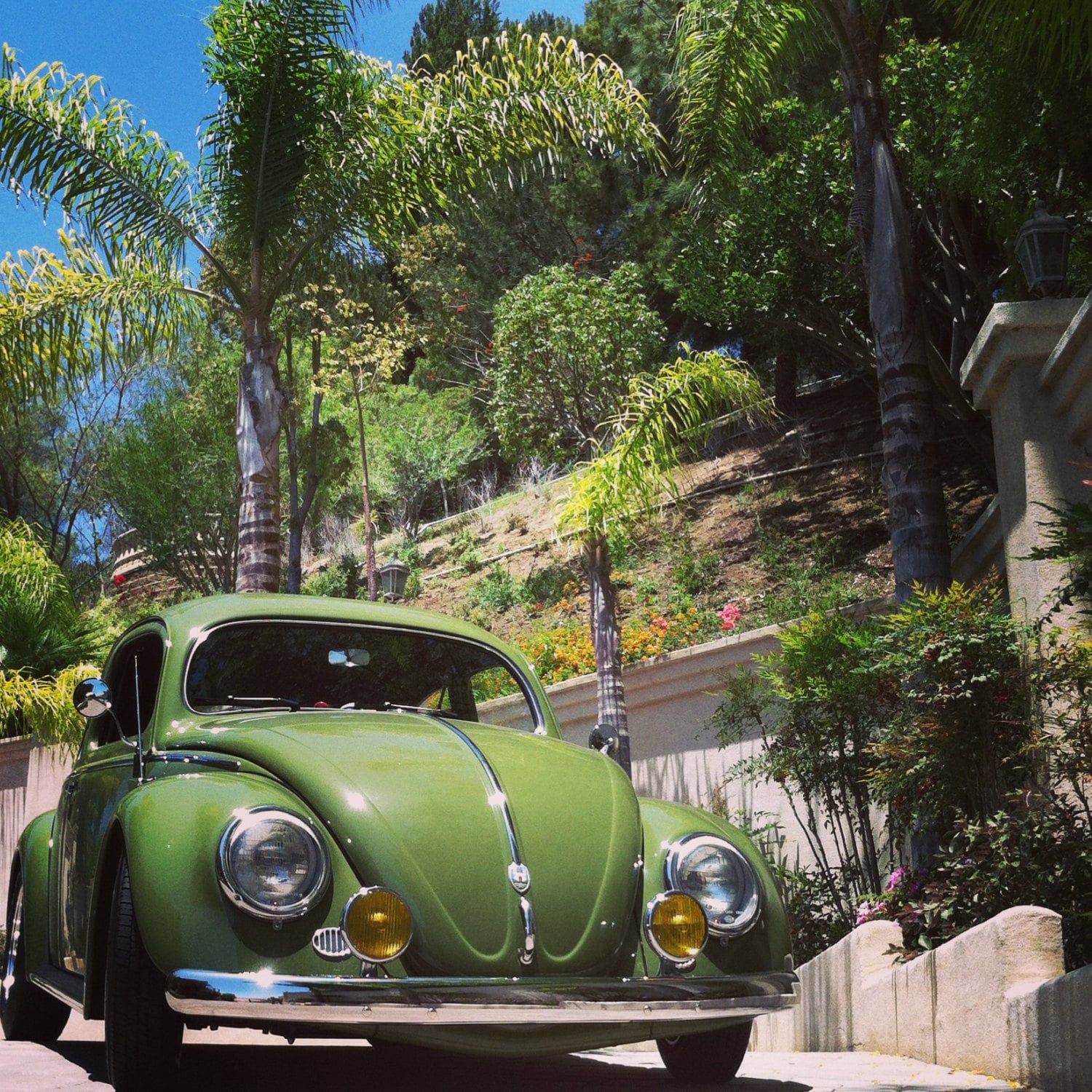 Photograph of green Volkswagen Beetle VW bug dream car | Etsy