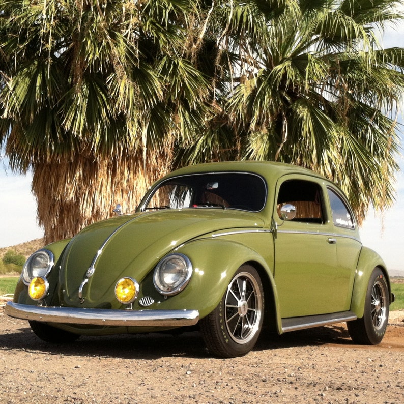 Volkswagen Beetle Show Car Photograph, Vw Photography, VW Bug, Old Cars ...