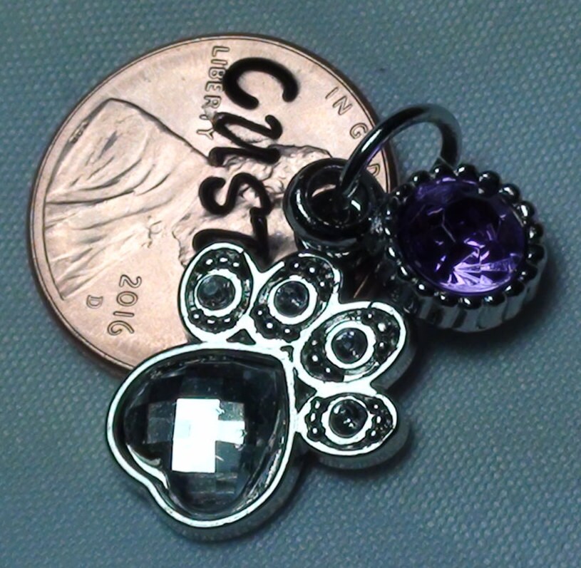 Lucky Penny Charm Stamped NAME of Choice Paw Print Charm and | Etsy
