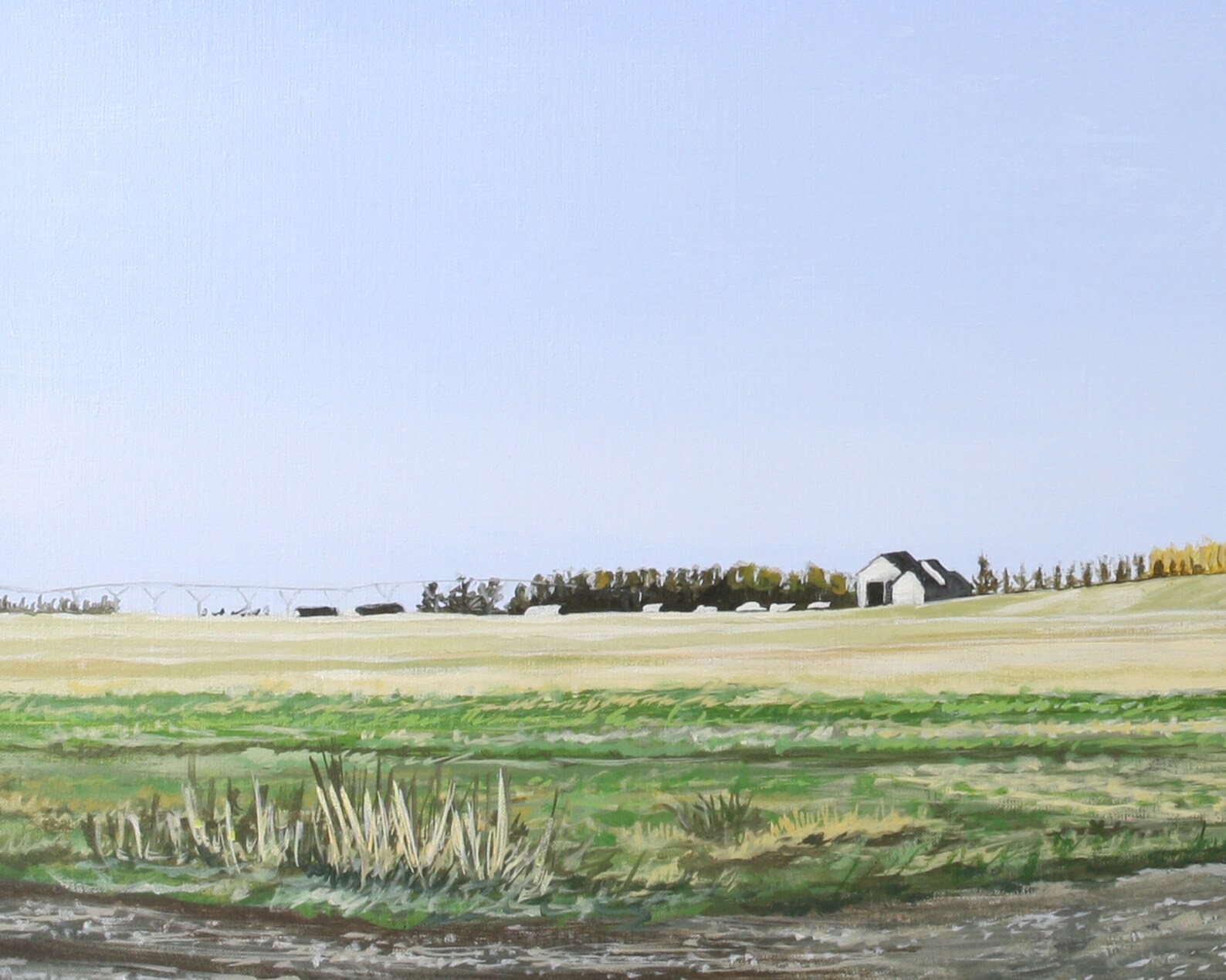 Alberta Prairie Landscape, Acrylic Painting, 18 X 24 Inchies, Rob ...