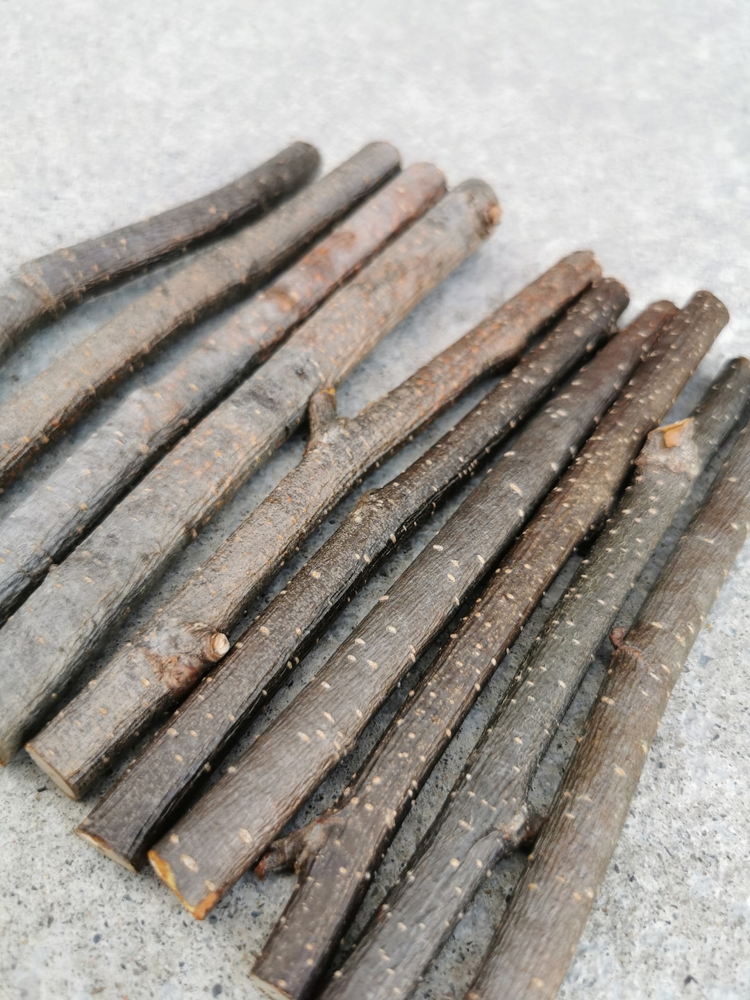 Alder Tree Sticks, Craft Sticks and Branches, Twig Craft Supplies ...