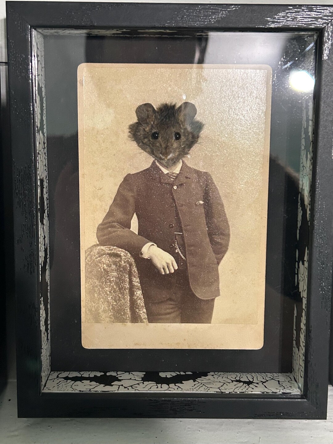 Victorian Taxidermy Shadow Box, Taxidermy Mouse, Oddity, Curiosity ...