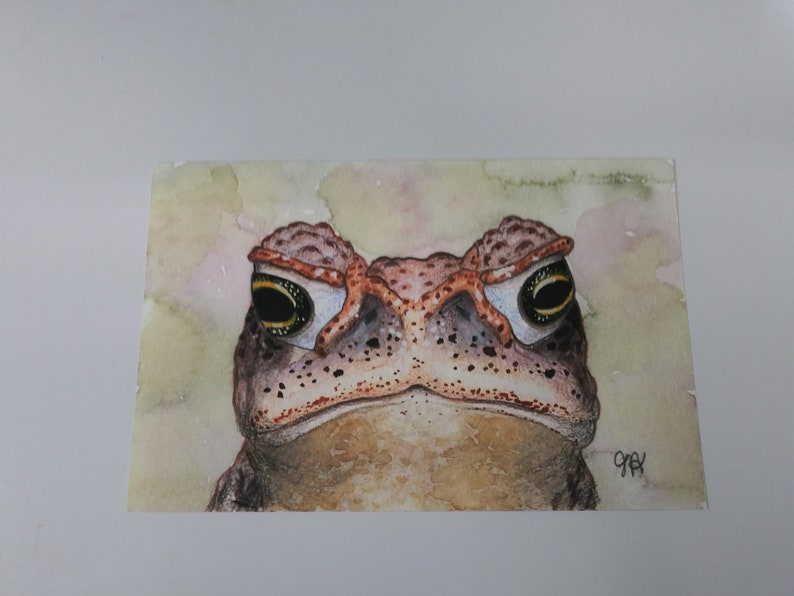 Watercolor Print, Portrait of a Toad, Art Print, Fine Art Print ...