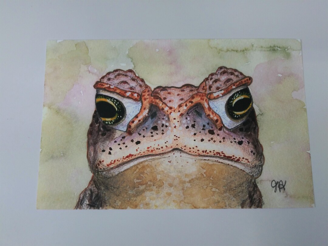 Watercolor Print, Portrait of a Toad, Art Print, Fine Art Print ...