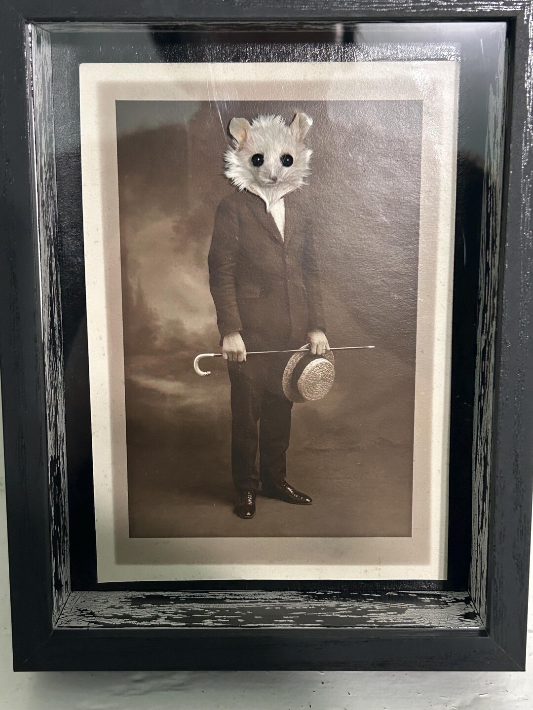 Victorian Taxidermy Shadow Box, Taxidermy Mouse, Oddity, Curiosity ...