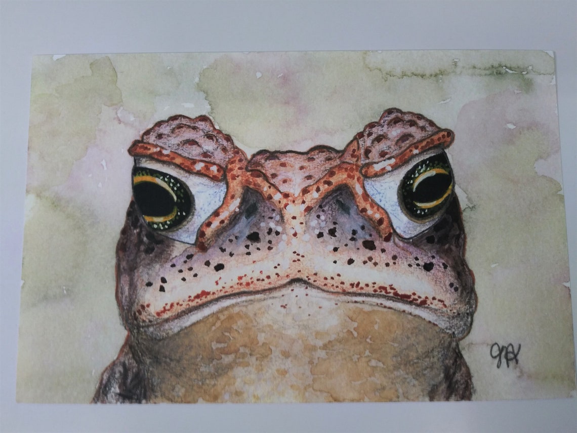 Watercolor Print Portrait of a Toad Art Print Fine Art - Etsy