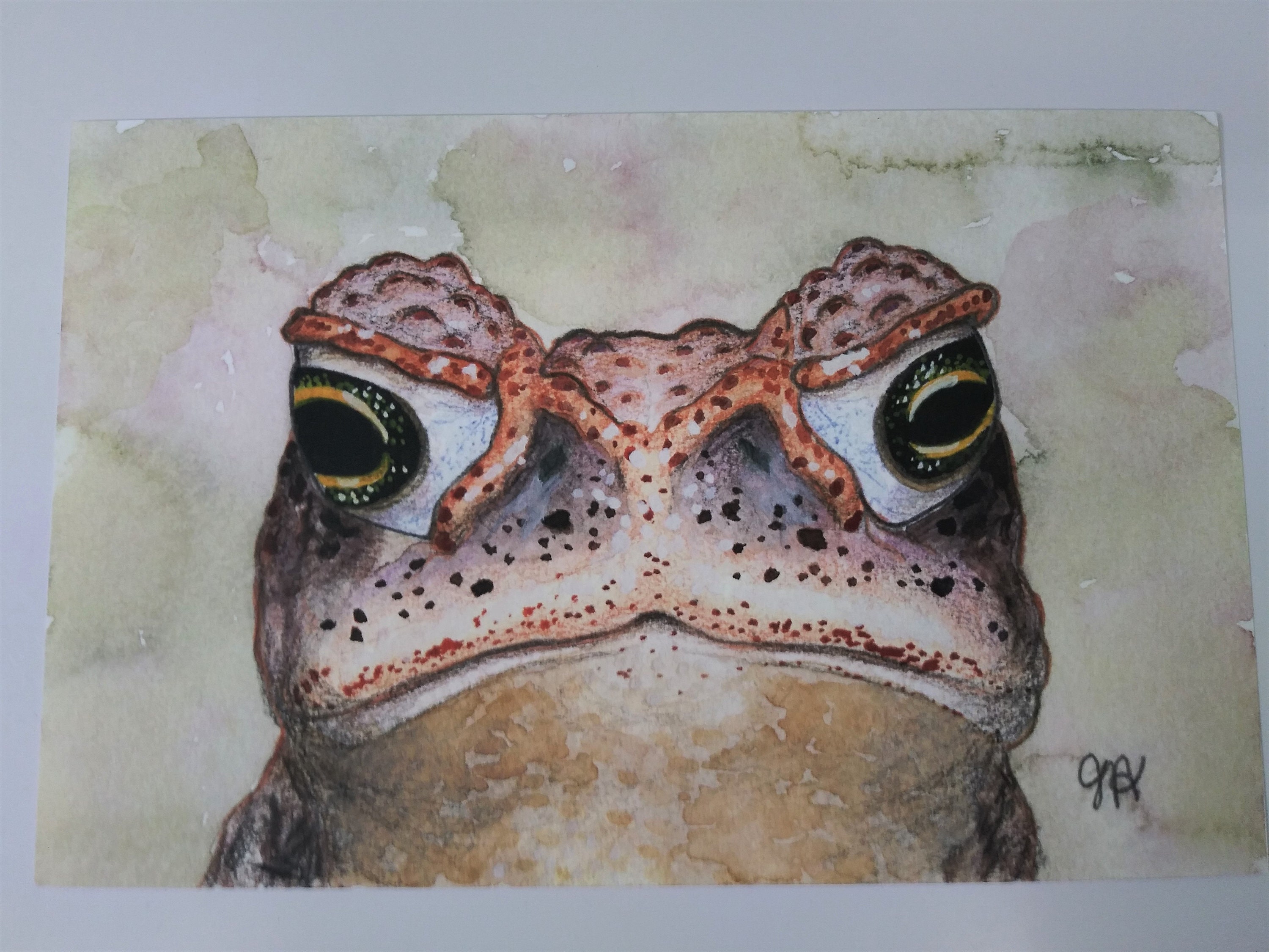 Watercolor Print, Portrait of a Toad, Art Print, Fine Art Print ...