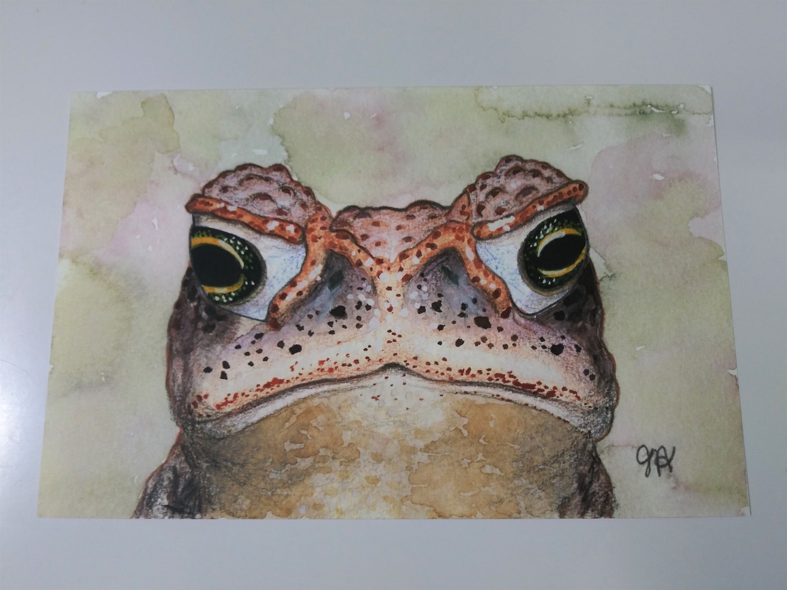 Watercolor Print Portrait of a Toad Art Print Fine Art - Etsy