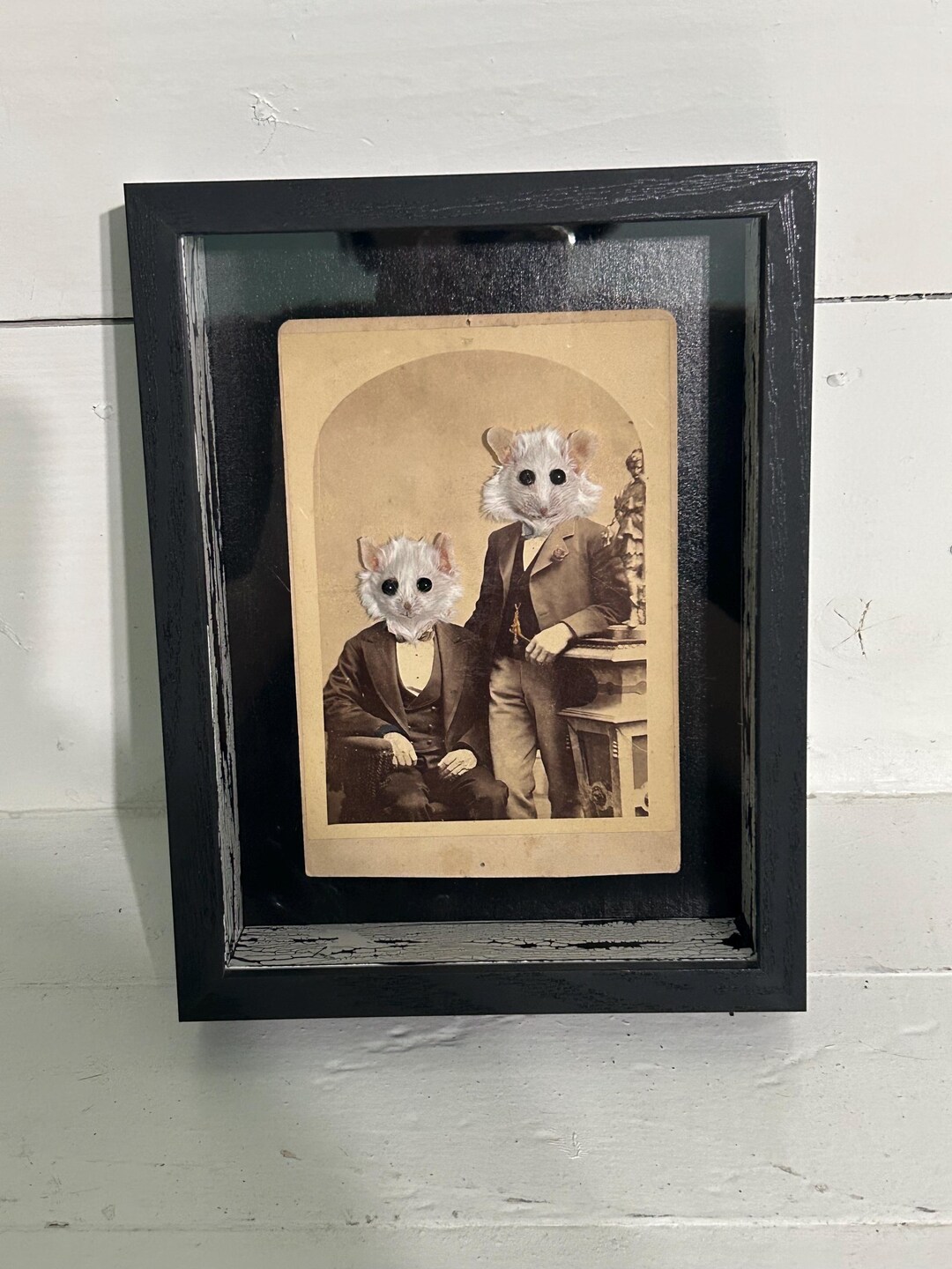 Victorian Taxidermy Shadow Box Art, Taxidermy Mouse, Taxidermy ...