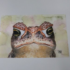 Watercolor Print, Portrait of a Toad, Art Print, Fine Art Print ...