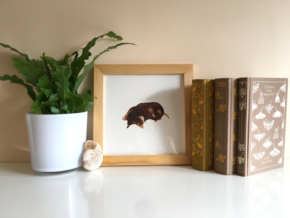 Mole Painting Mole Print Mole Art Mole Watercolour Mole - Etsy UK
