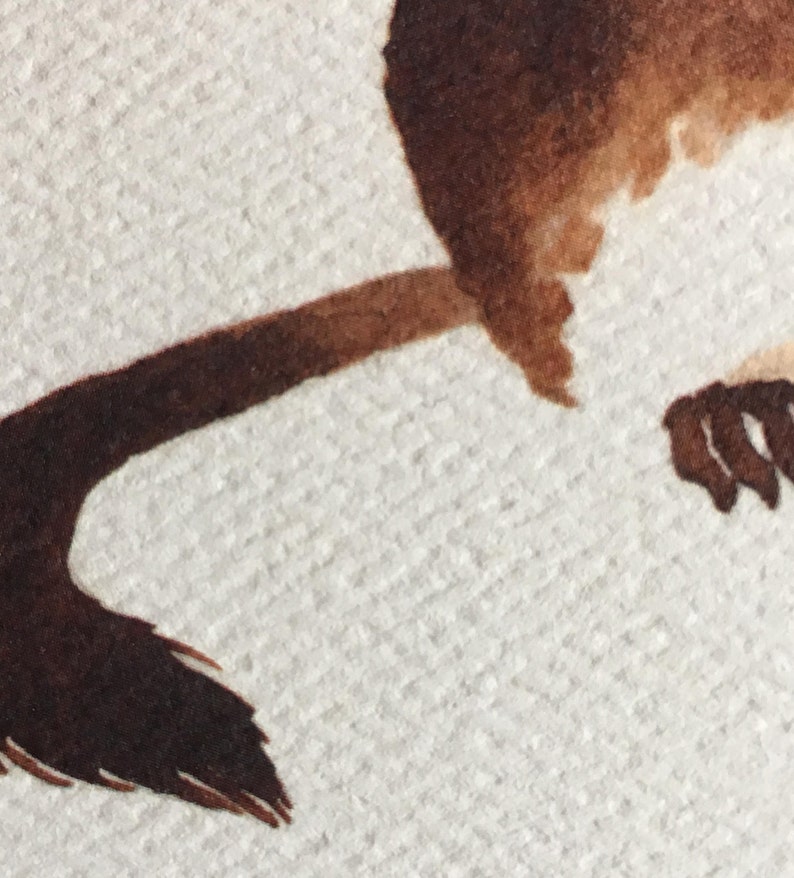 Stoat Painting, Stoat Print, Stoat Art, Stoat Ink Painting, Stoat ...
