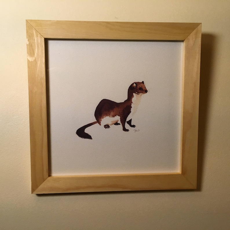 Stoat Painting, Stoat Print, Stoat Art, Stoat Ink Painting, Stoat ...