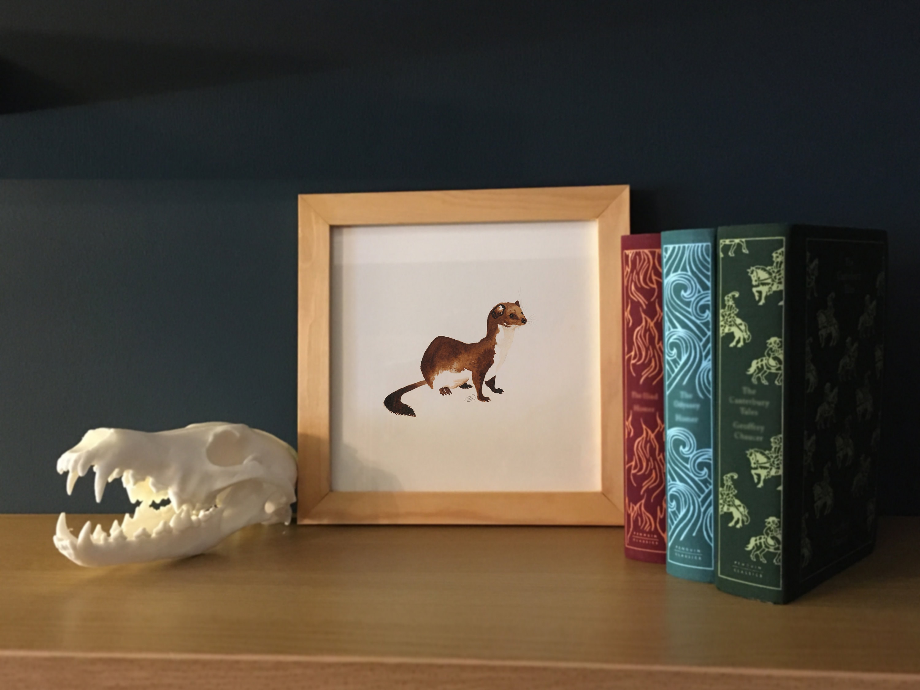Stoat Painting, Stoat Print, Stoat Art, Stoat Ink Painting, Stoat ...