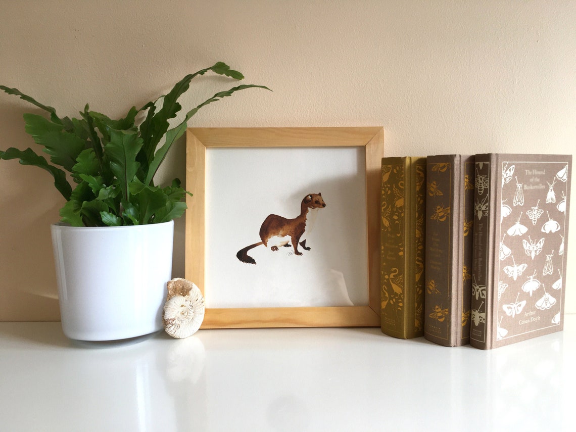 Stoat Painting, Stoat Print, Stoat Art, Stoat Ink Painting, Stoat ...