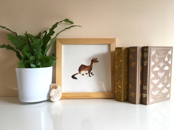 Stoat Painting Stoat Print Stoat Art Stoat Ink Painting | Etsy