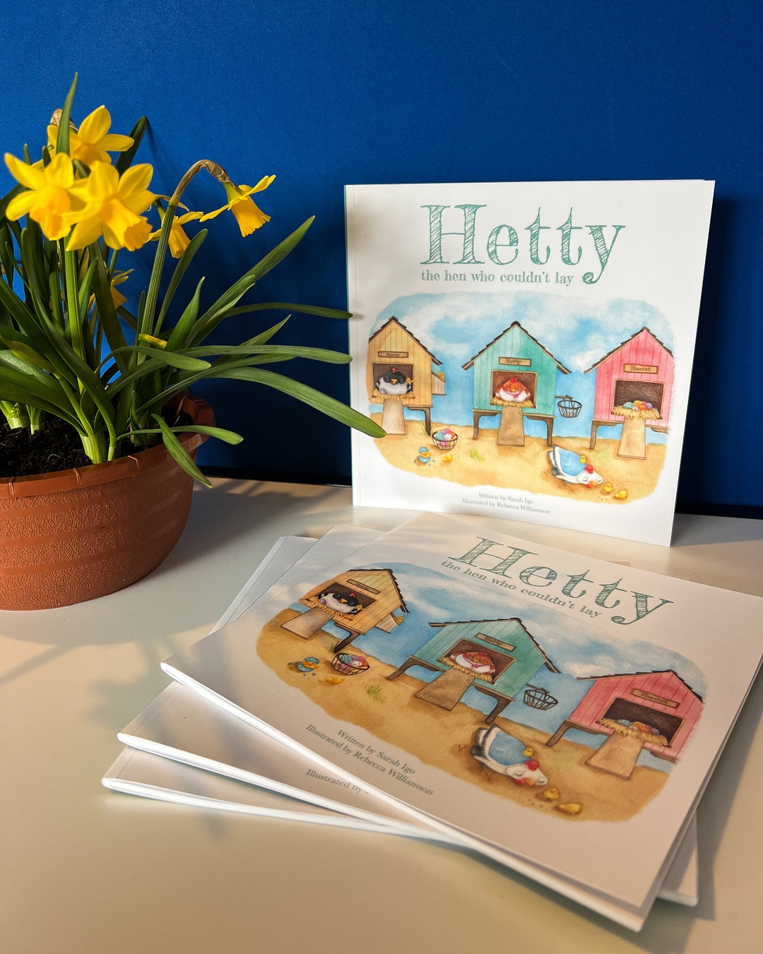 Hetty the Hen Who Couldnt Lay Childrens Book IVF Book Egg Donation ...