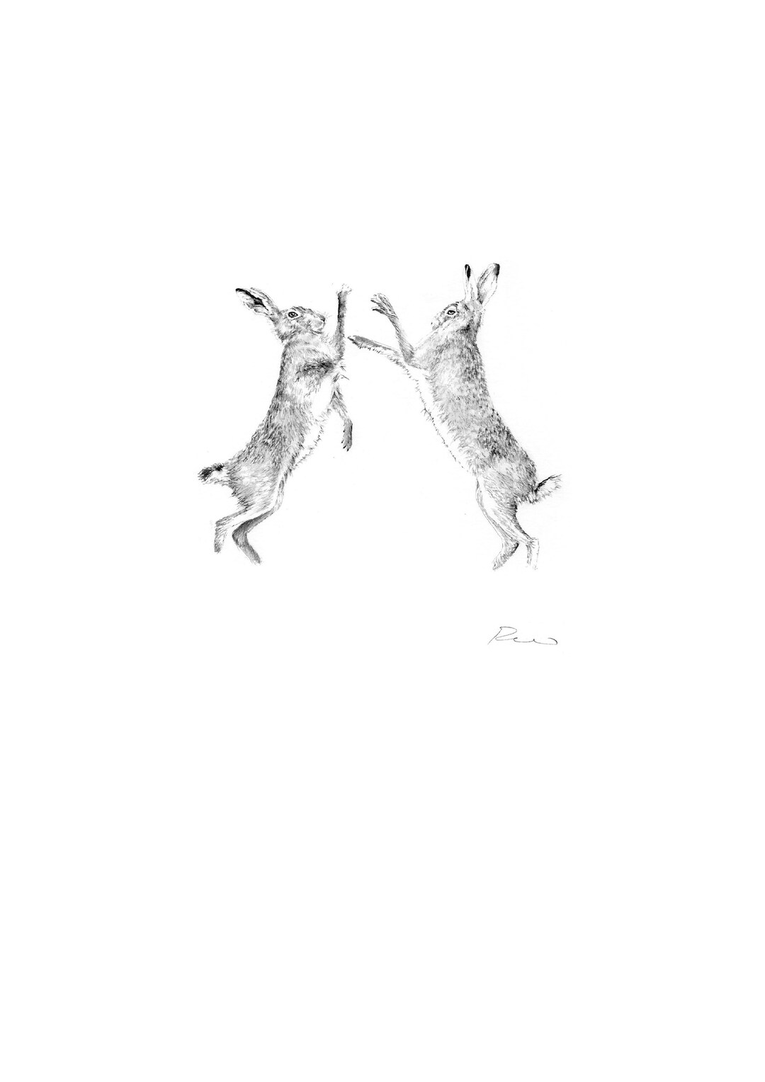 Boxing Hares | Detailed Graphite Pencil Drawing | Print - Etsy UK